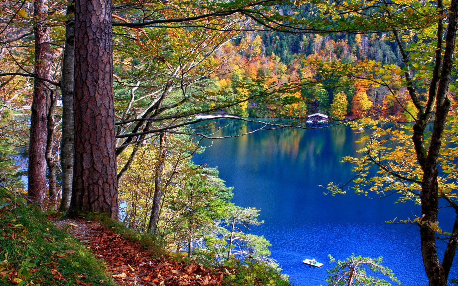Nature Lakes Trees Forest Leaves Water Reflection Autumn Fall Seasons ...