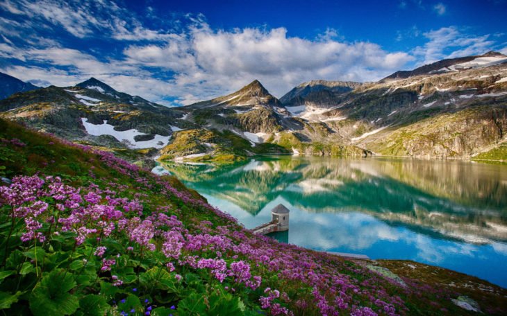 Beautiful Spring Landscape Nature Flowers Mountain Snow Mountain ...