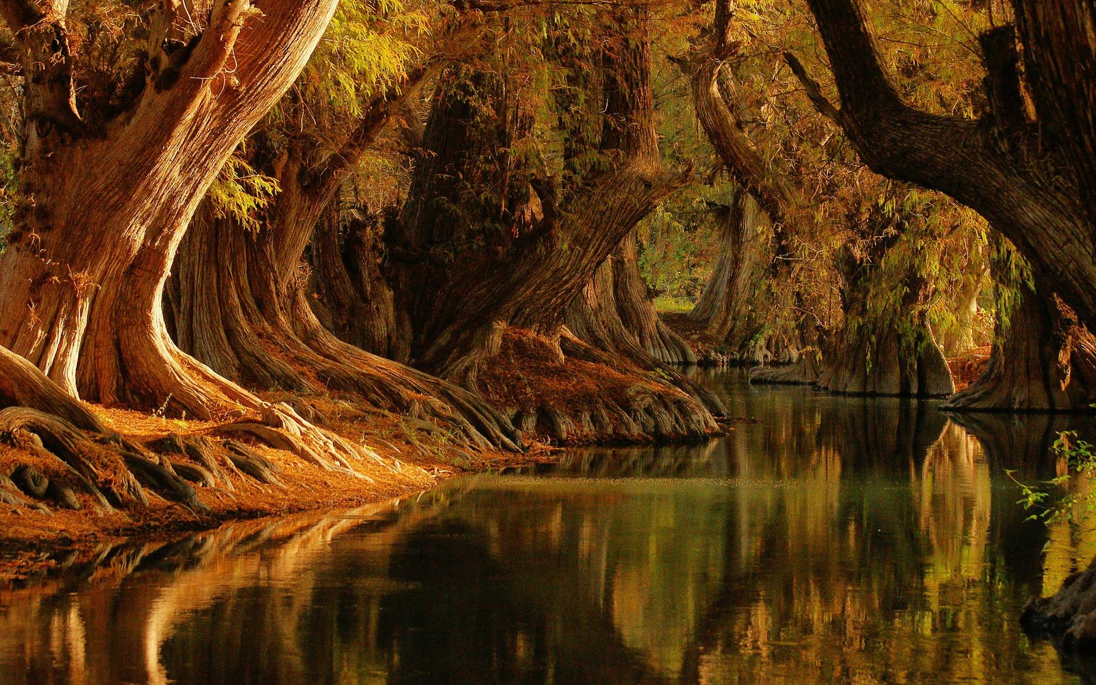 Lago De Camécuaro National Park Municipality Of Tangancícuaro In ...