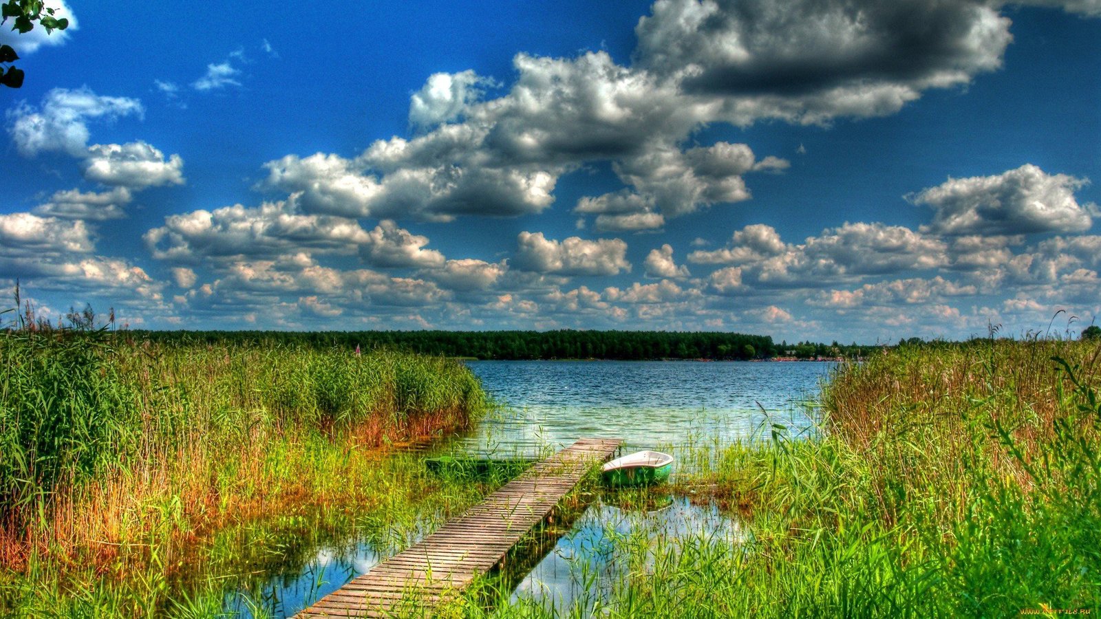 Jezioro Łukcze Lake In Poland Green Reeds Lake Dock Sky Clouds Desktop ...