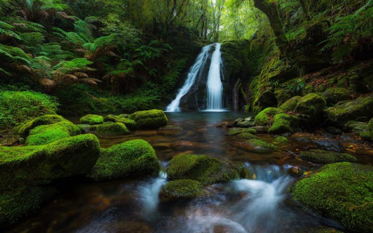Waterfall, Rocks, Moss Green Forest Tree Fern Australian Rainforest ...