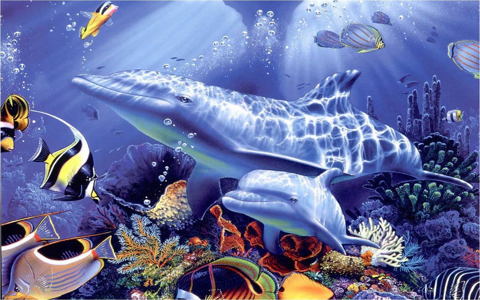 Underwater Animal World Coral Reef Coral In Various Colors Exotic ...