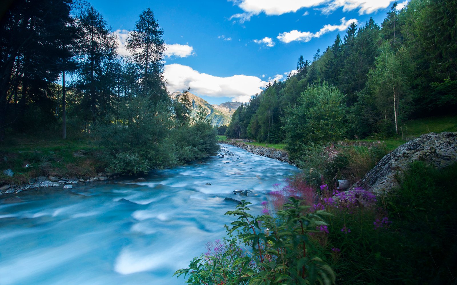 Torrente Evançon River In Italy Ayas Valley In Region Aosta Northwest ...